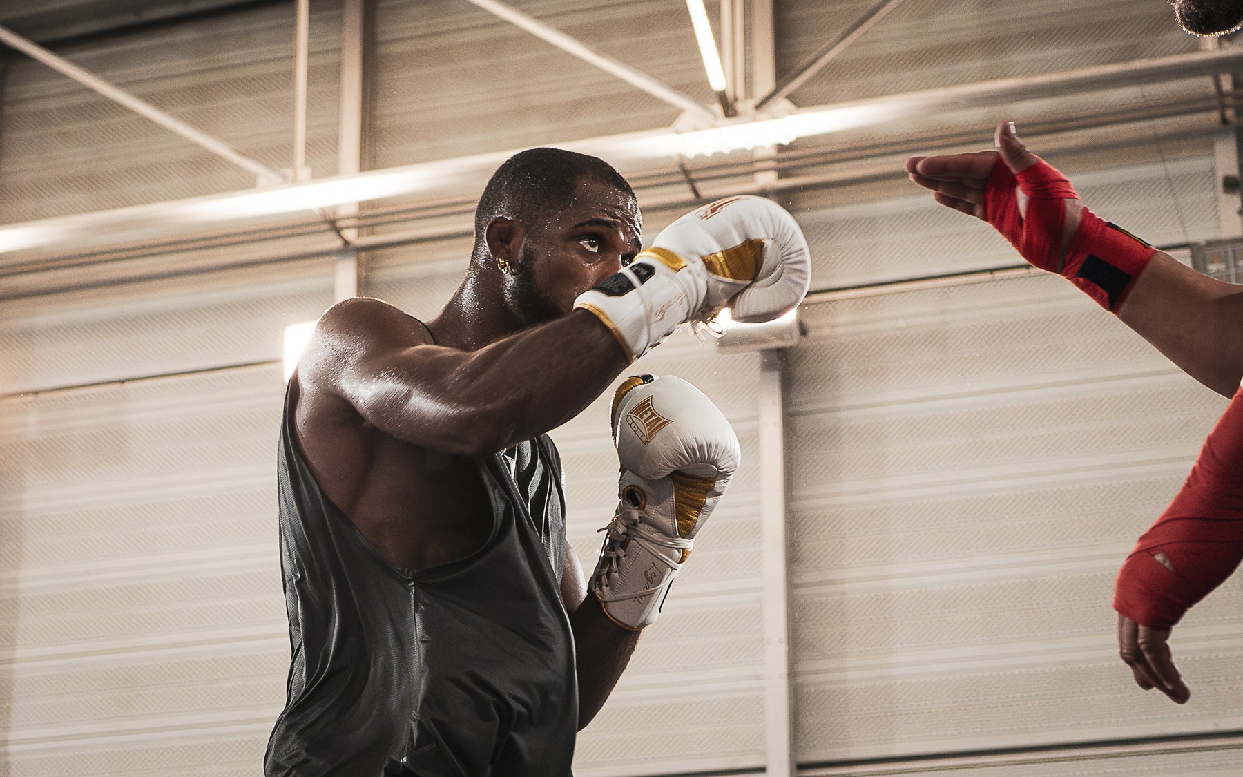 Metal Boxe - Forging Champs